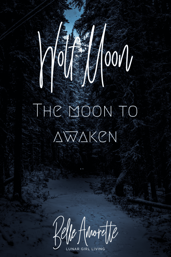 January Wolf Moon: How to Use the Moon's Energy