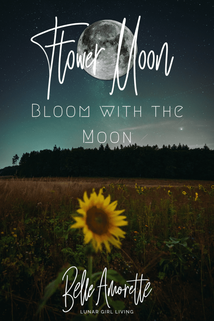 May Flower Moon: How To Bloom With The Moon