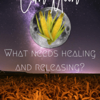 SEPTEMBER HARVEST MOON: The Moon for Abundance & Healing